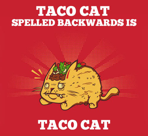 Taco Tuesdays Memes